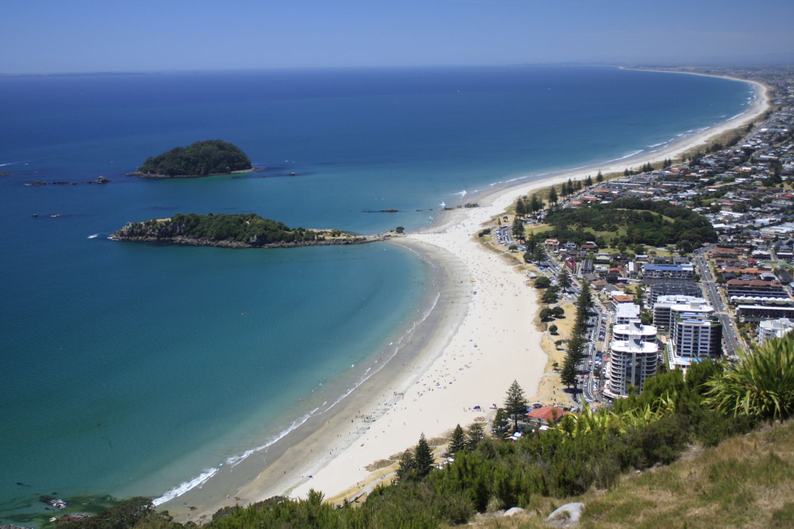 Pavilion Apartments | Mount Maunganui | Accommmodation - About the Mount